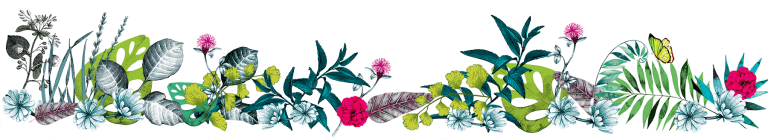 code Gewinnspiel - Underberg